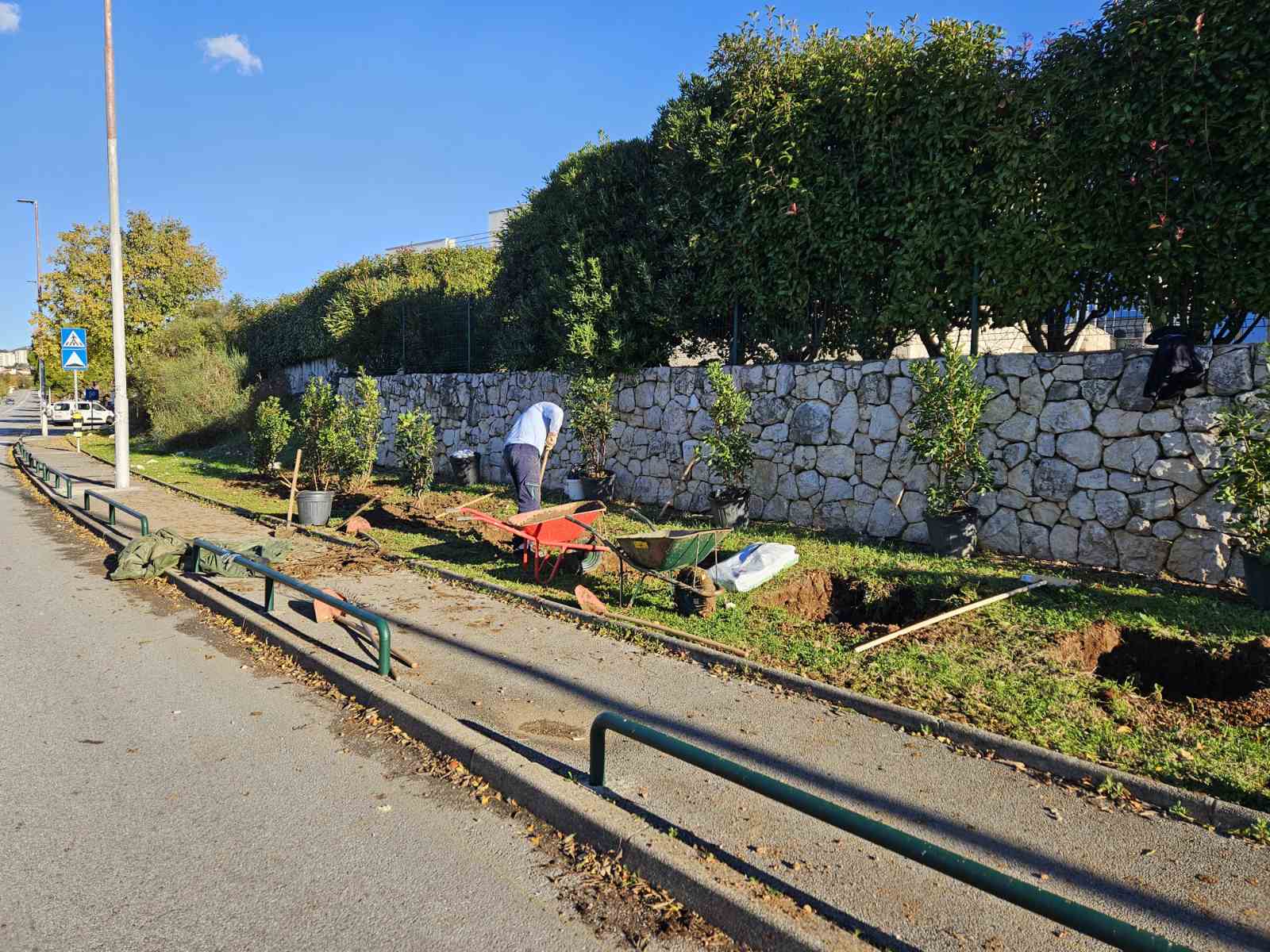 Sadnice maginje za ljepšu i zeleniju Kostrenu - Naša Kostrena